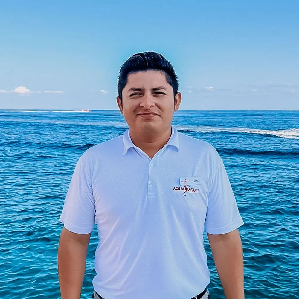 Meet the True Experts in Marine World | AquaSafari