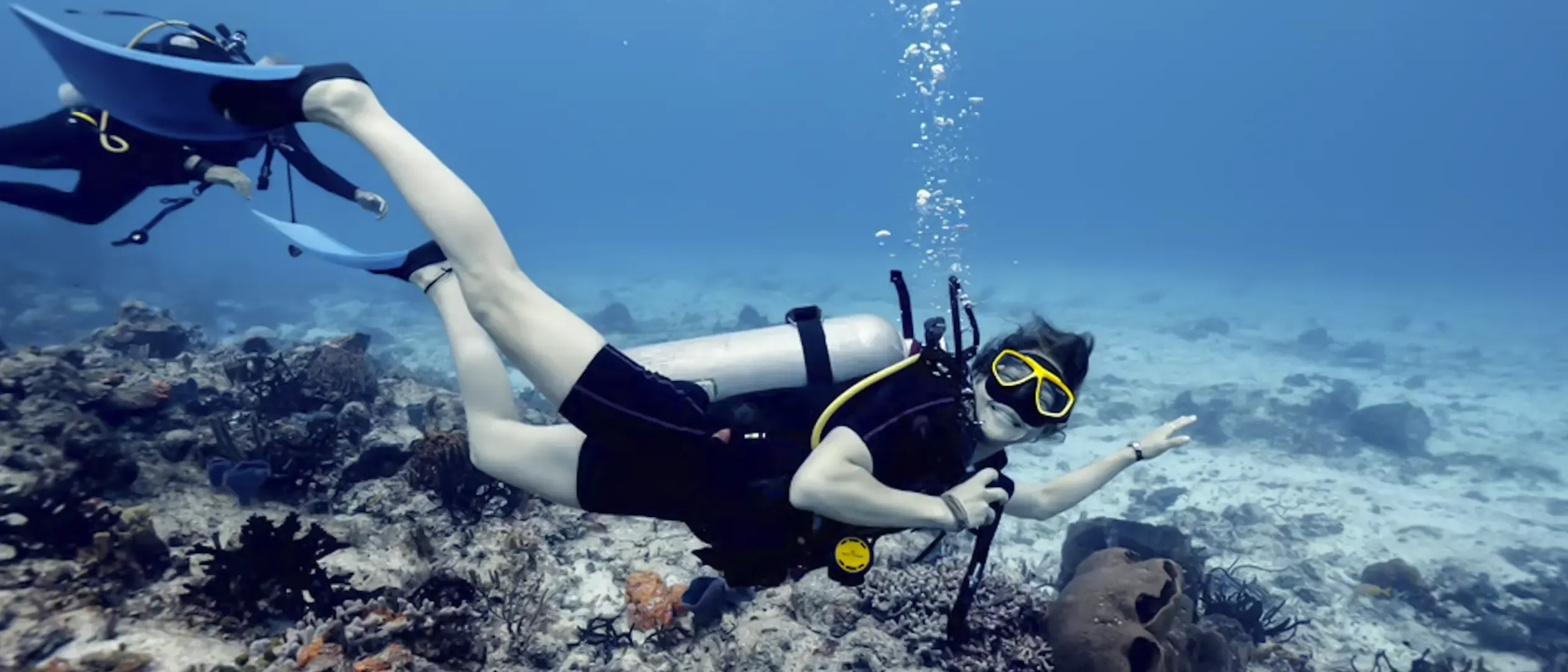 Ultimate Scuba Blog: Dive into New Adventures | AquaSafari