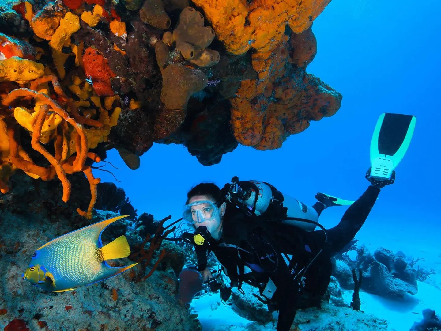 Frequently asked questions about diving | AquaSafari