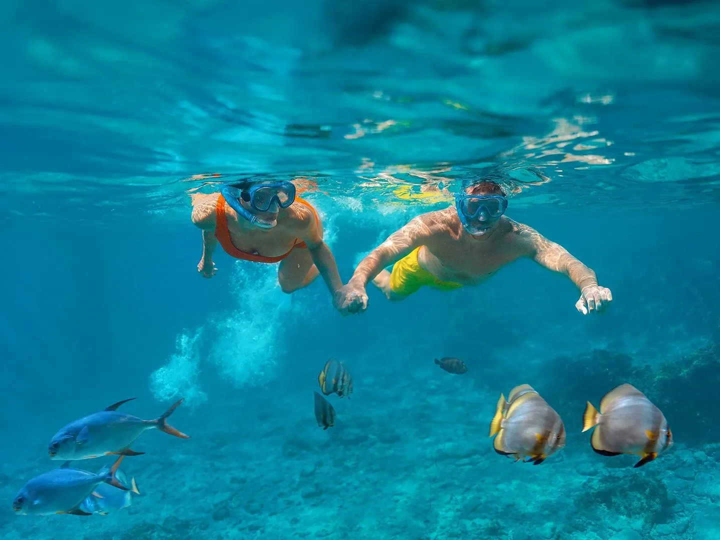 Frequently asked questions about diving | AquaSafari