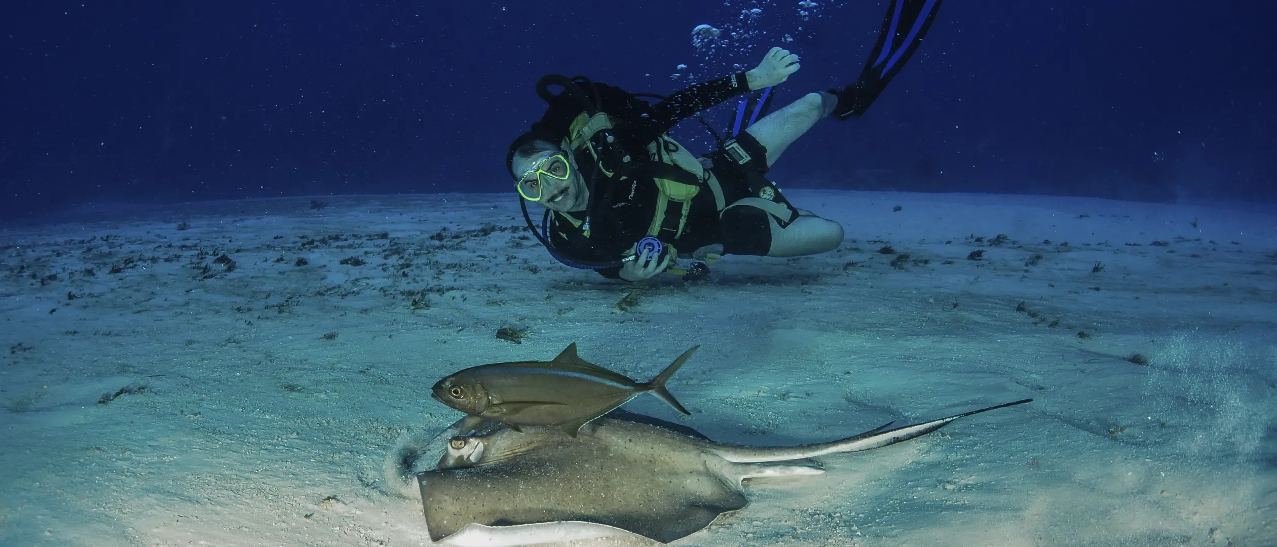 Ultimate Scuba Blog: Dive into New Adventures | AquaSafari