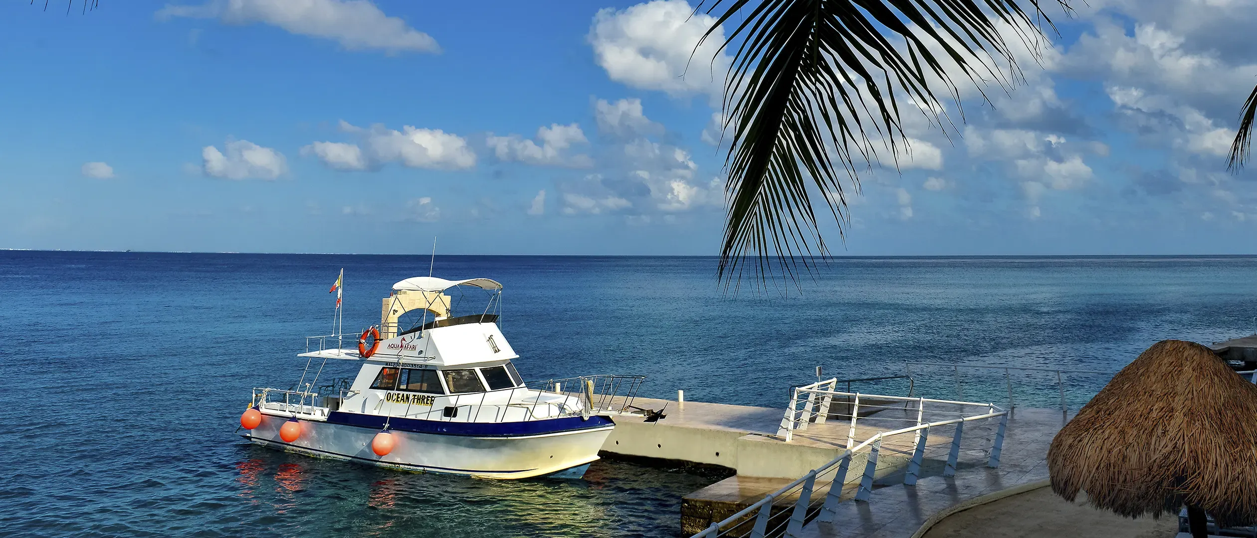 Ultimate Scuba Blog: Dive into New Adventures | AquaSafari