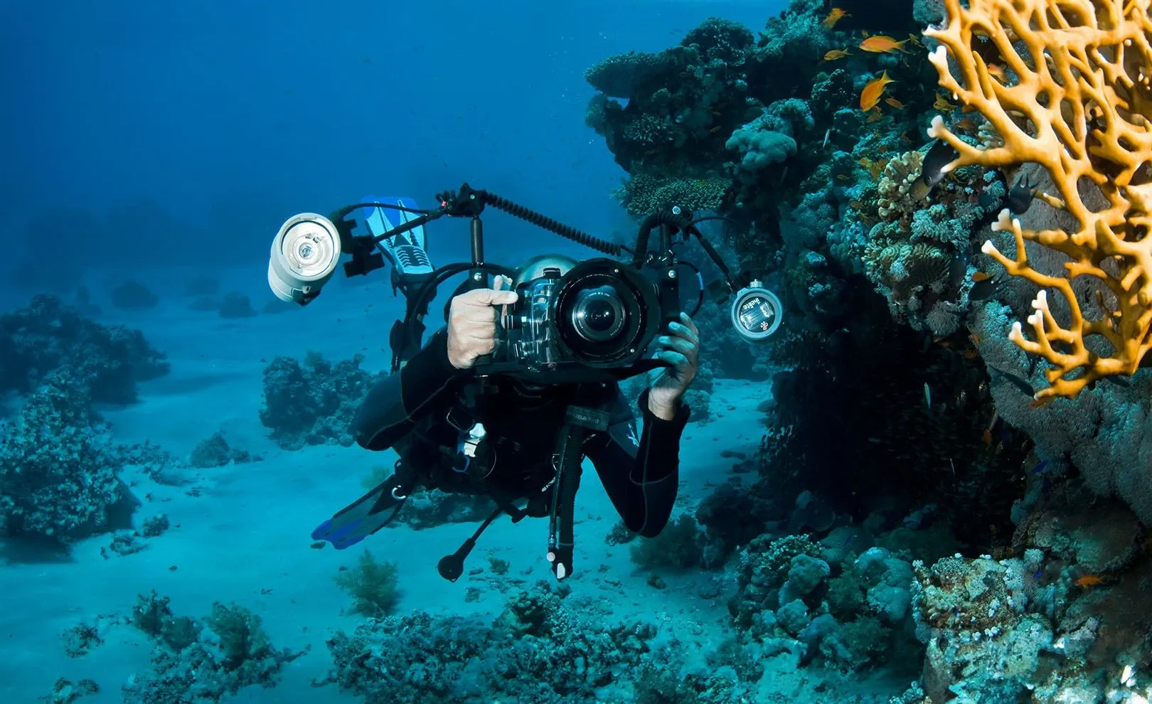 Discover the art anf magic of Scuba Diving | AquaSafari